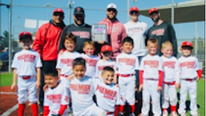 Baseball | The Farm League